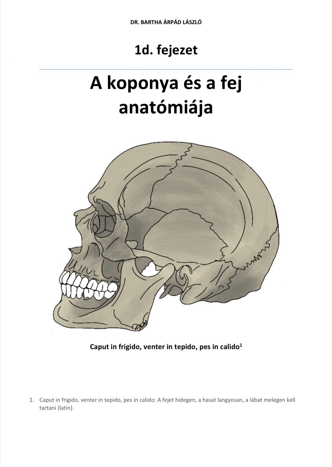 1d. fejezet – A koponya és a fej anatómiája – Anatómia Túlélőkönyv